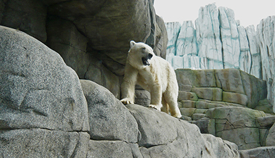 Oxal RM-L - MC-Bauchemie