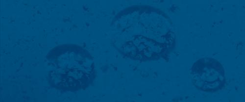 Emcephob HC - MC-Bauchemie